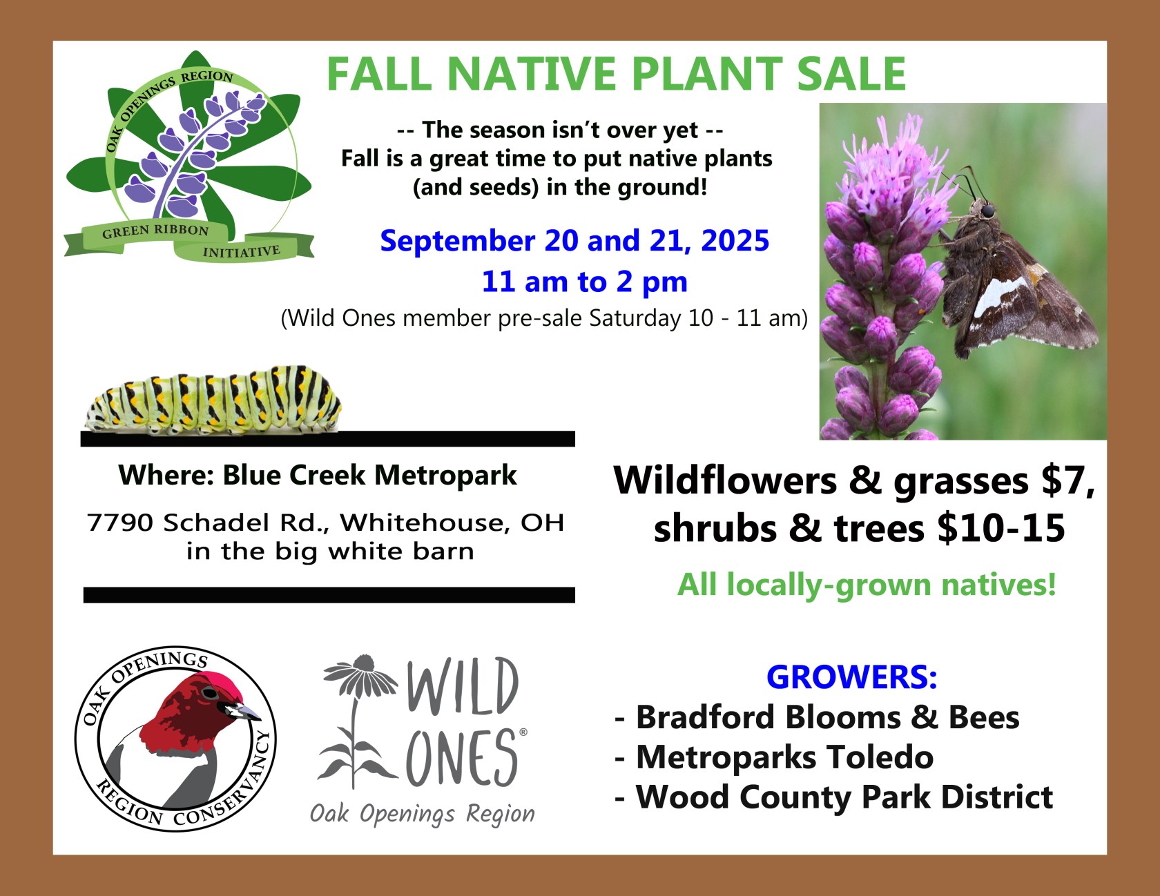 Where to Buy Native Plants – Wild Ones Oak Openings Region (NW Ohio ...